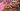 Popular UK butcher falls into liquidation – in business since 2022 | UK ...